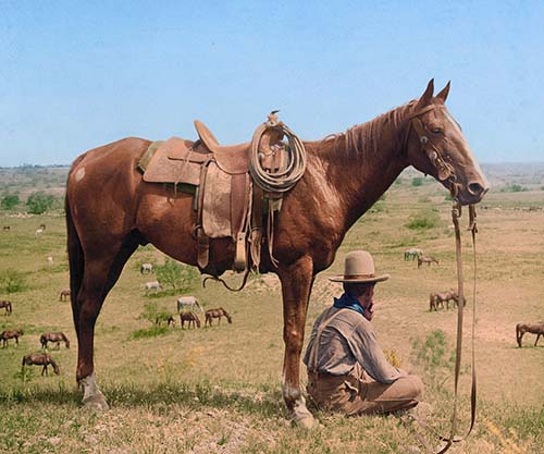 One of the Last Cowboys of the Dying Old West Chilling in Texas, 1910 ...
