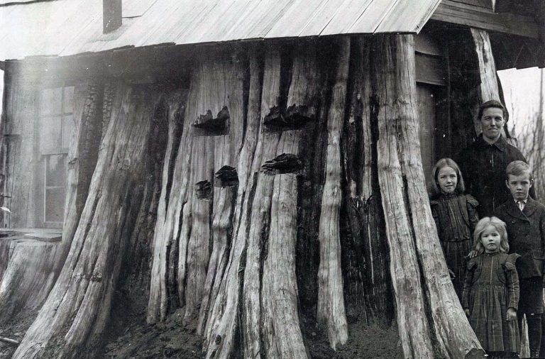 "when was the house at 2" - Rare Historical Photos