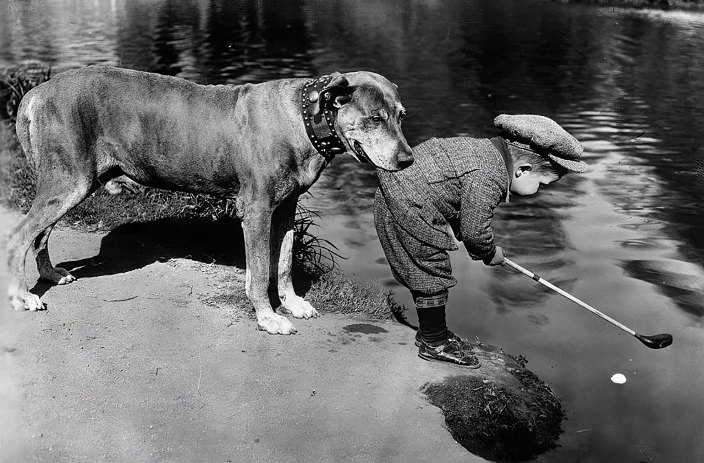 "old dog vintage" - Rare Historical Photos